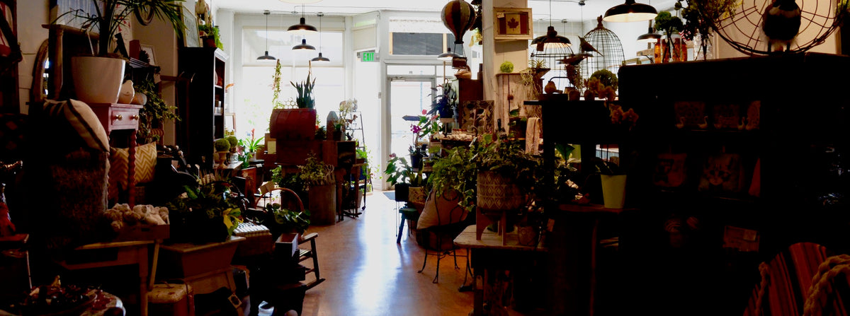 Our Store - Magnolia Flowers
