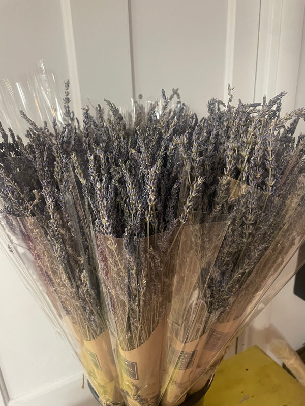 Dried Lavender Bunches - Magnolia Flowers
